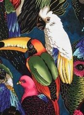 Alexander Henry - Collections